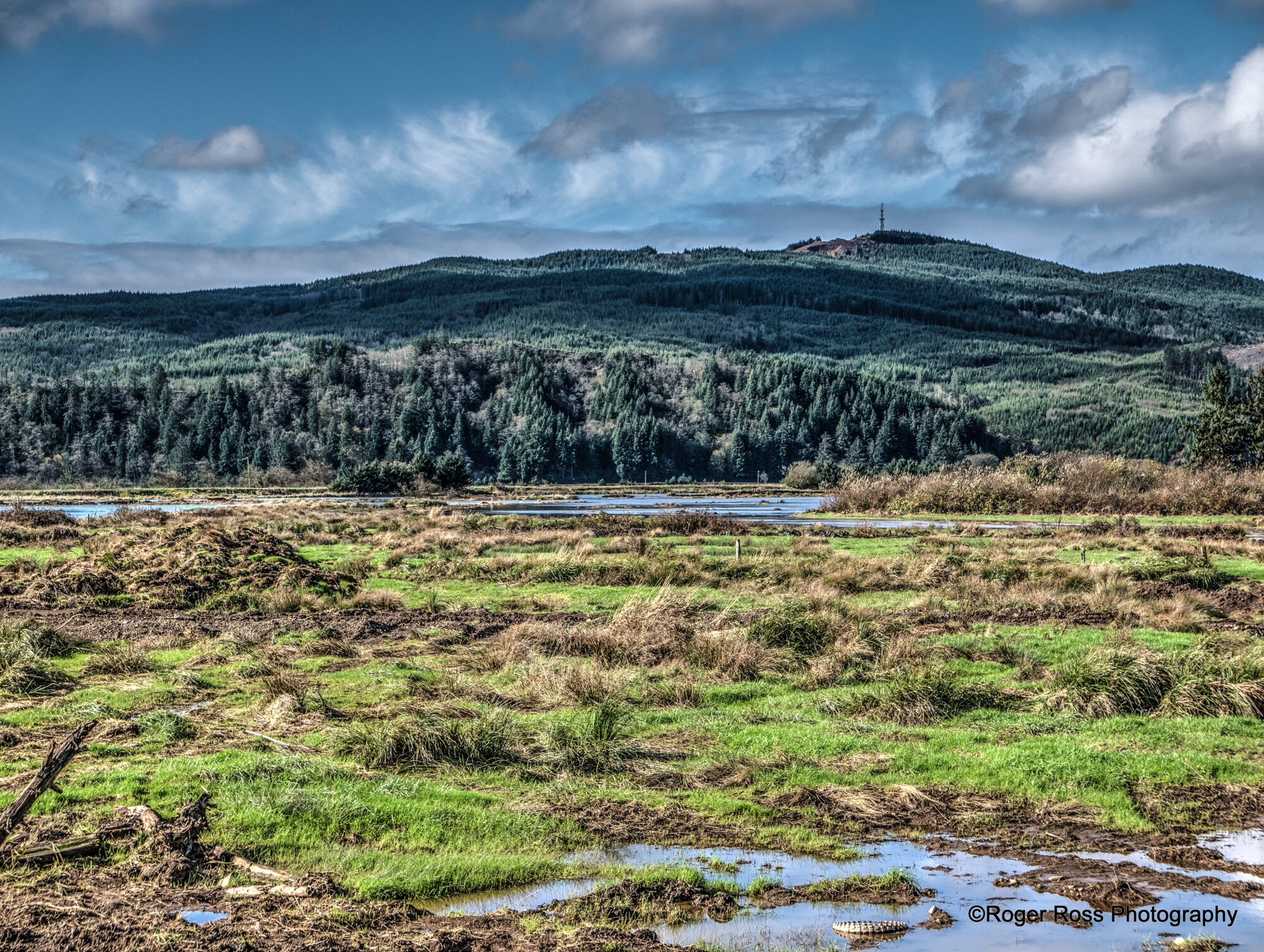Southern Flow Corridor - Tillamook Estuaries Partnership